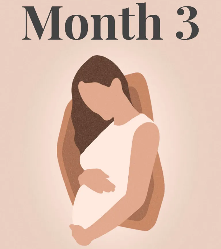 3 Months Pregnant: Signs, Symptoms and Baby Development Progress ...