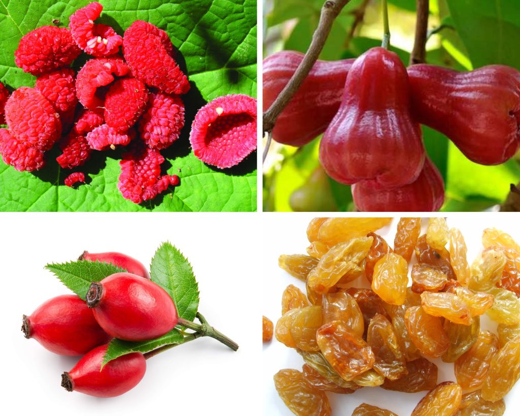 31 Fruits that Start with R with Facts and Pictures - Richmond Mom