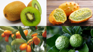27 Fruits that Start with K with Facts and Pictures - Richmond Mom