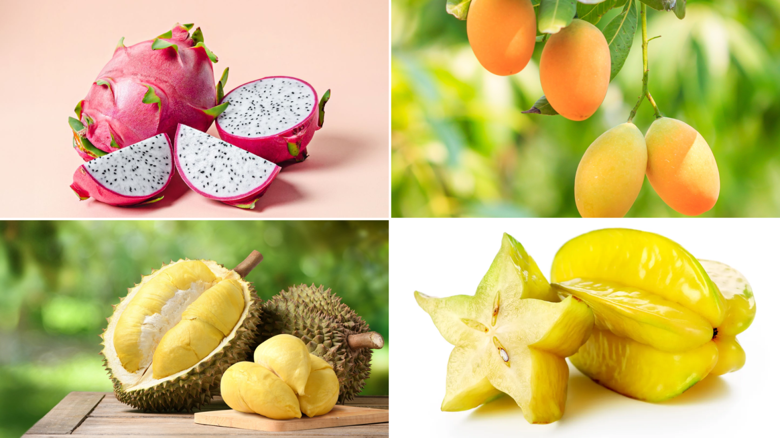 33 List of Tropical Fruits to Try with Their Nutritional Value ...