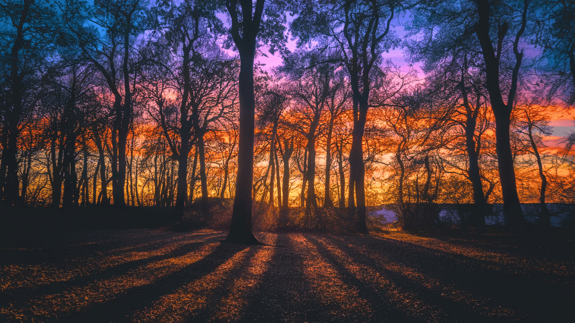 List of 533 Names Meaning Shadow - Richmond Mom